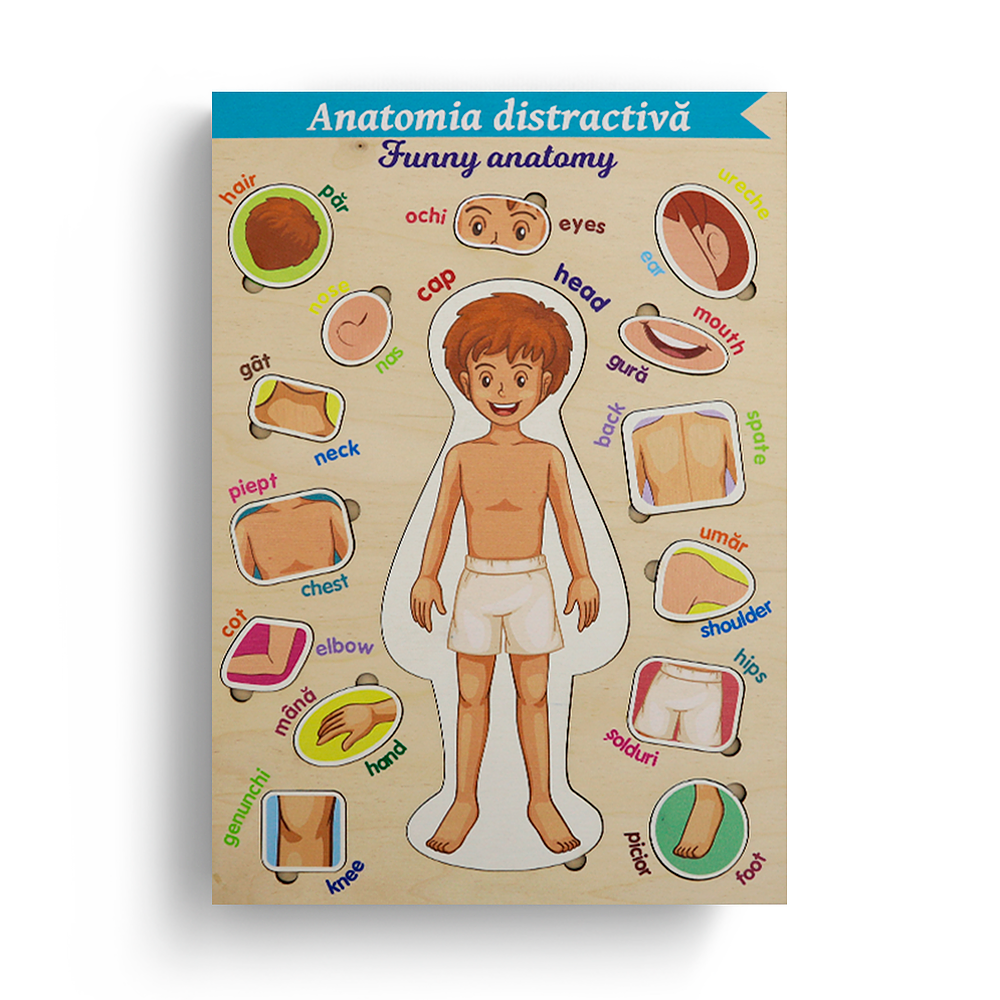 Puzzle Anatomia Educards